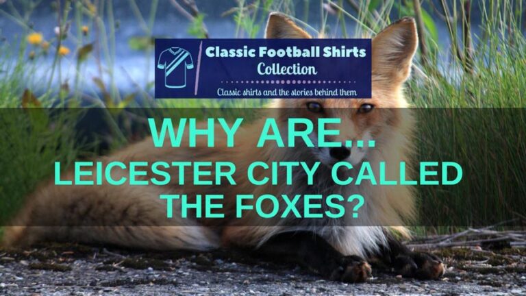 Why Are Leicester City Called The Foxes? (Solved)