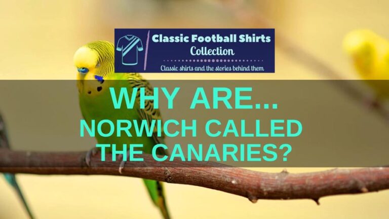 Why Are Norwich Called The Canaries? (Explained)