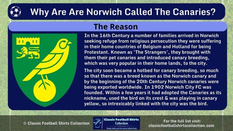 Why Are Norwich Called The Canaries? (Explained)